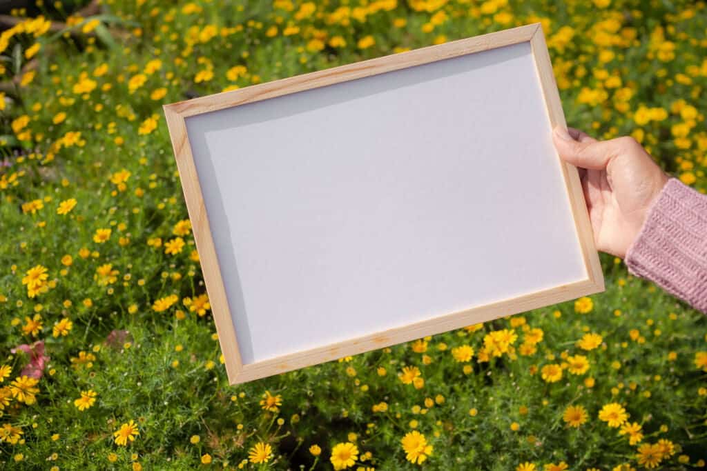 Essential Summer Frames for Your Home - Hampton Frames